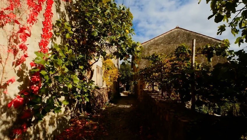 Domov | Vila Robida rezervacija